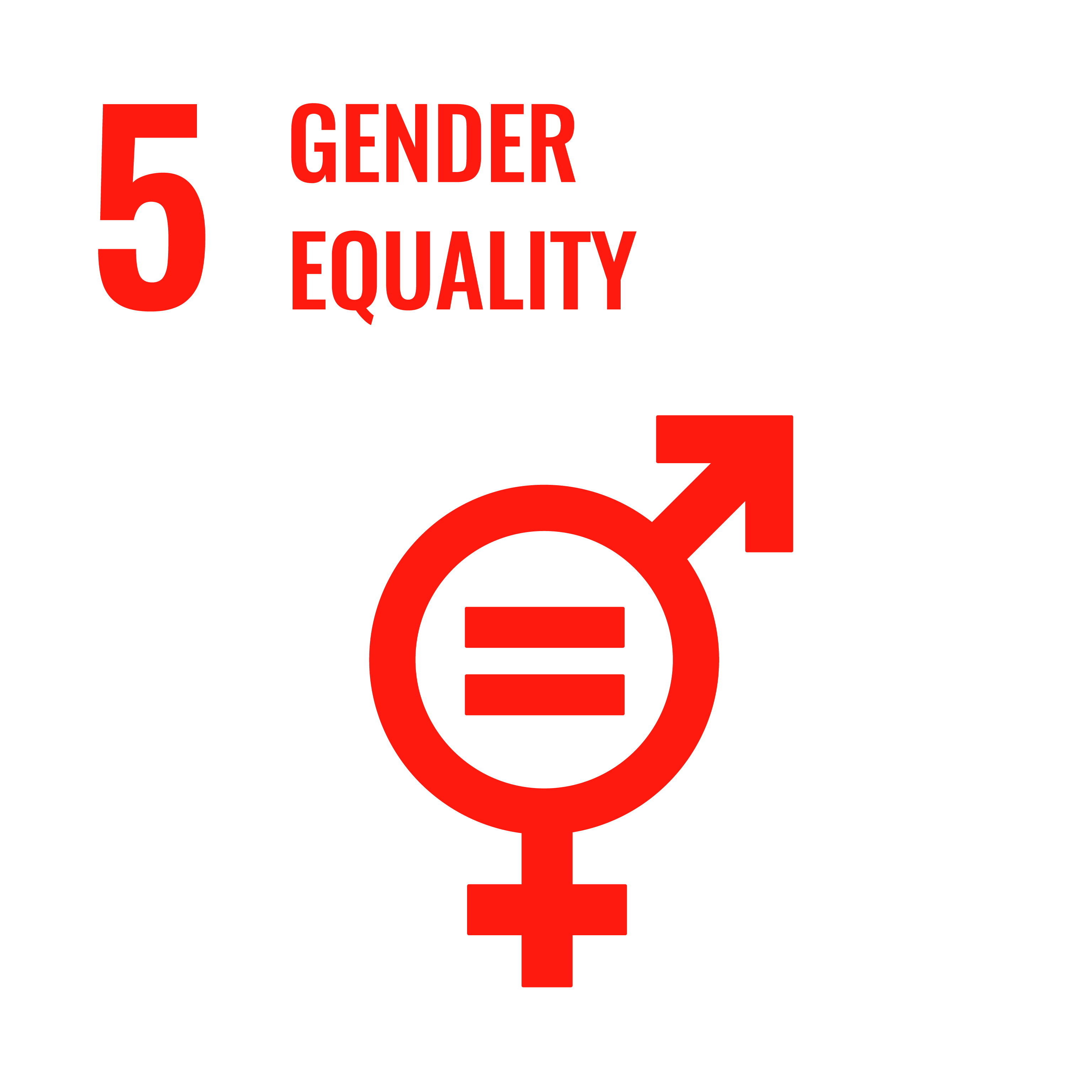 SDG India Index